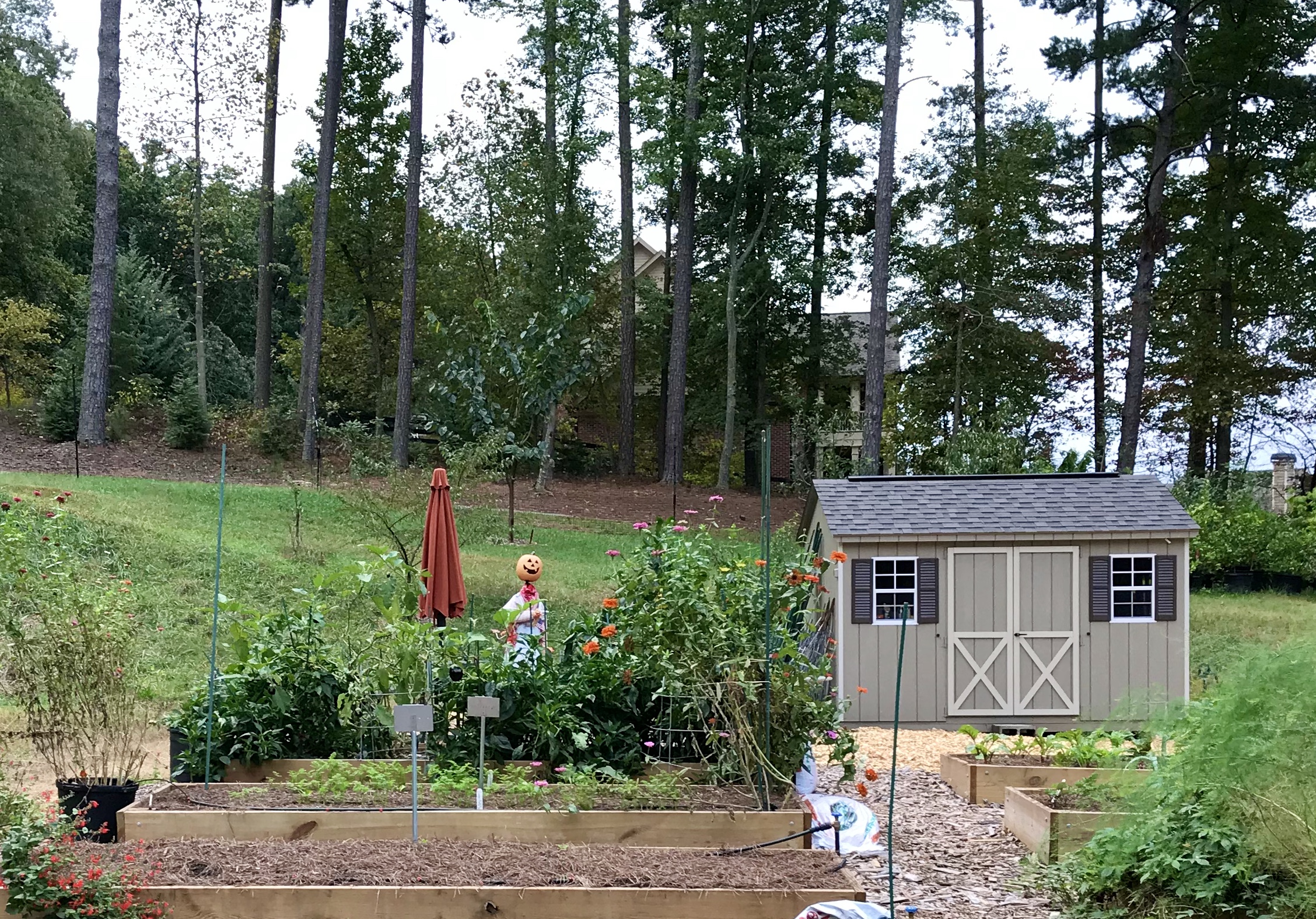 Plant a Row for the Hungry - Master Gardener Volunteers of Cobb County